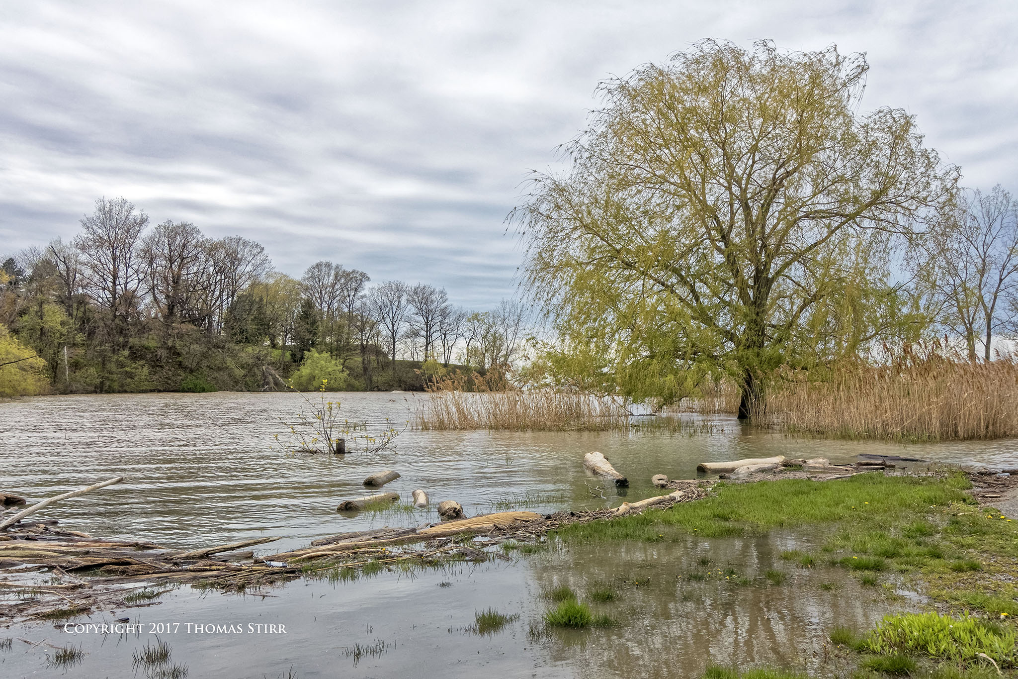 DSC_0690_DxOsmall - Small Sensor Photography by Thomas Stirr