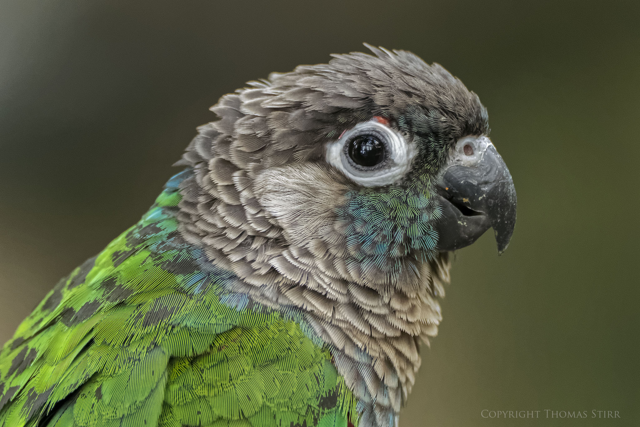 DSC_2131_DxOsmall - Small Sensor Photography by Thomas Stirr