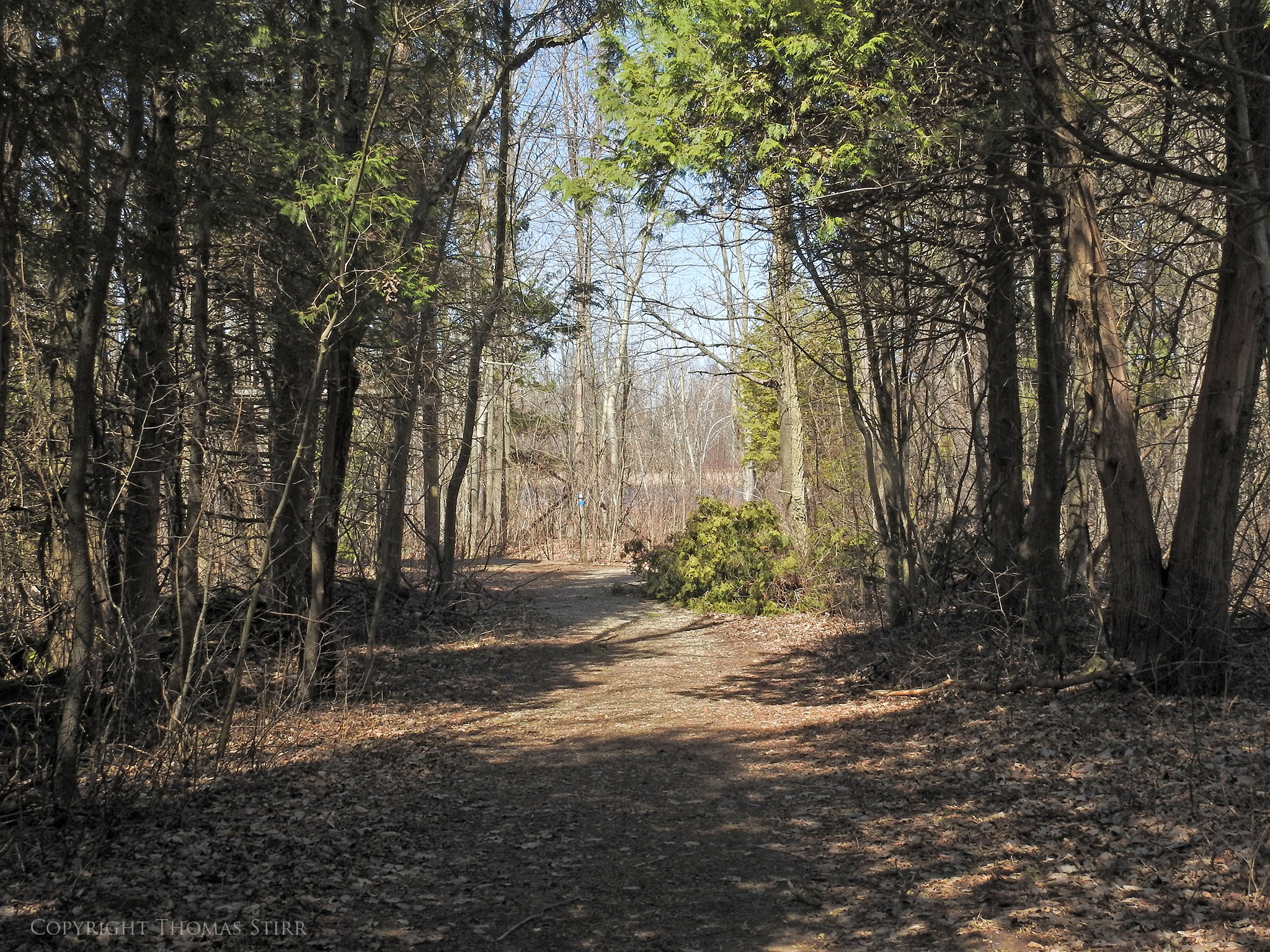 P900 image 13 - Small Sensor Photography by Thomas Stirr