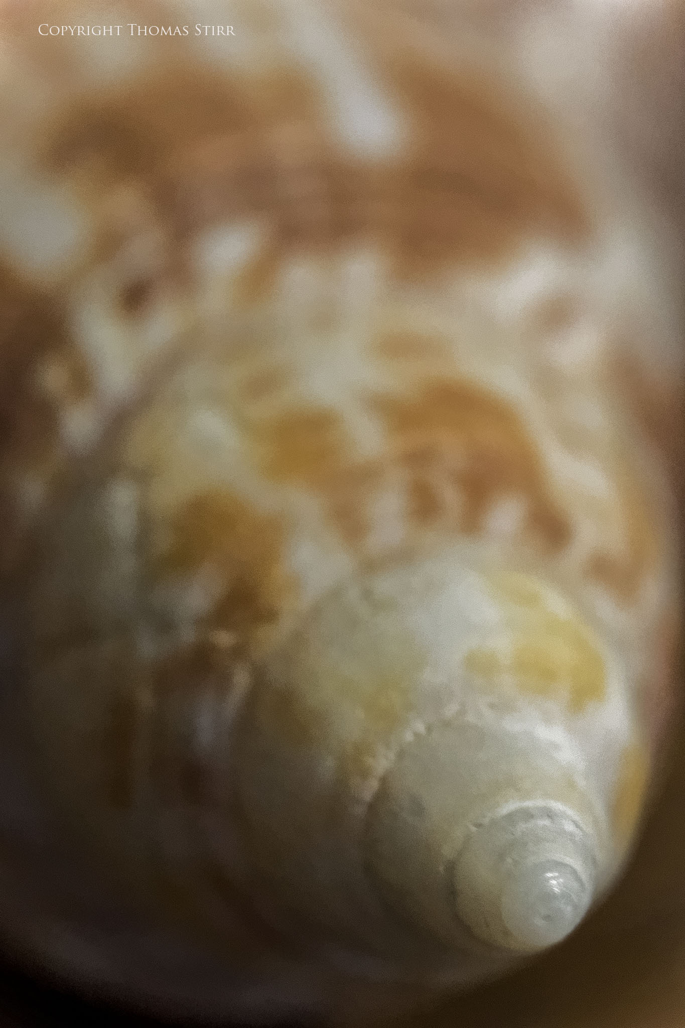 DSC_0573_DxOsmall - Small Sensor Photography by Thomas Stirr