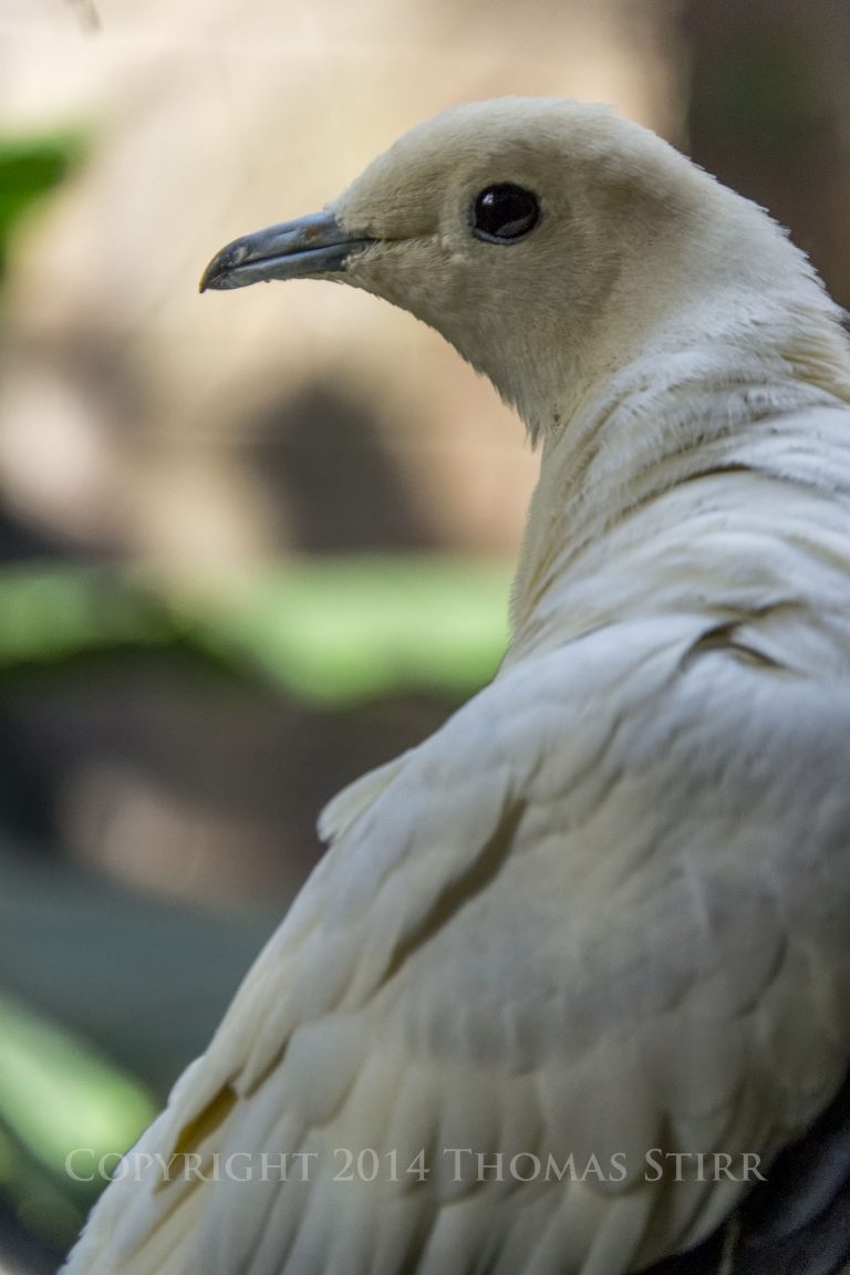 Creating impact using subject bleed - Small Sensor Photography by ...