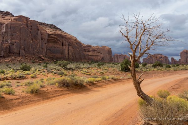 Small Sensor Landscape - Small Sensor Photography by Thomas Stirr