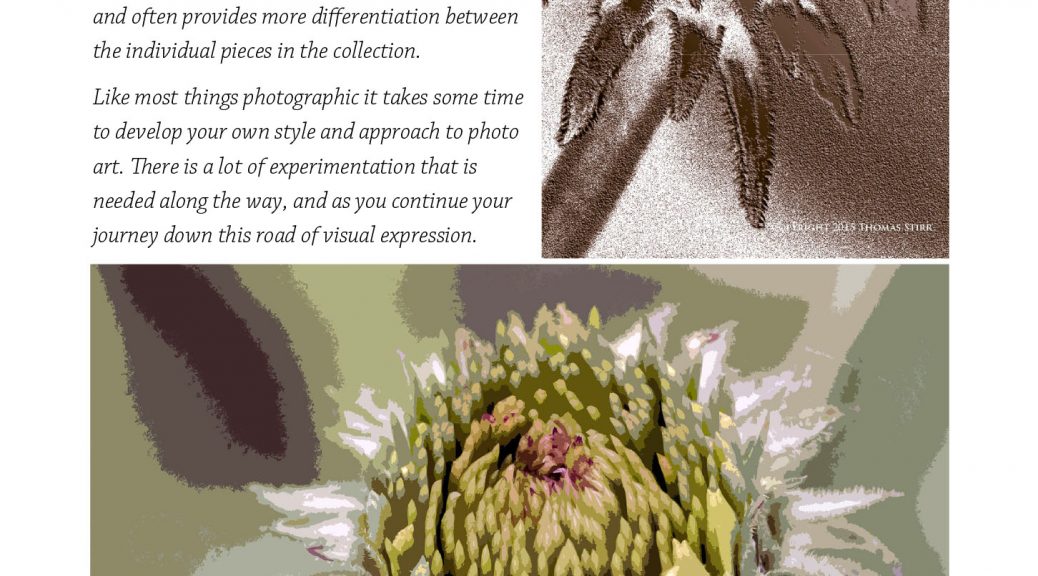 The Little Camera That Could: Photo Art - Small Sensor Photography by ...