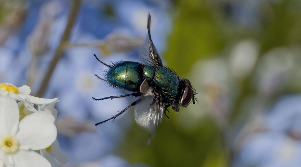 Small Sensor Photography by Thomas Stirr - This website celebrates the ...