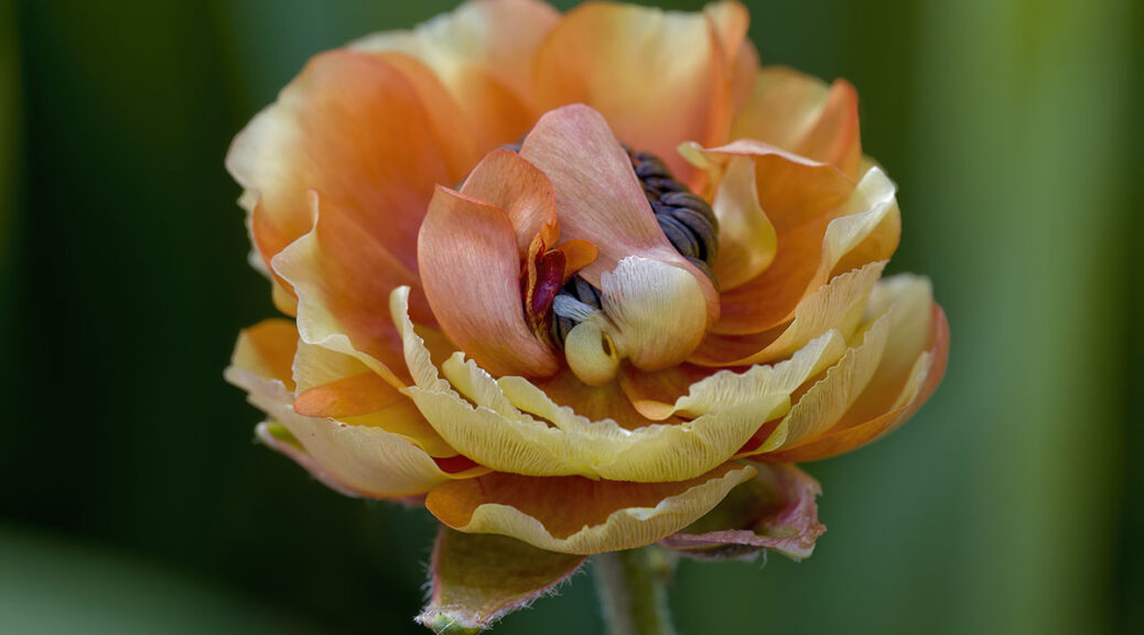 Small Sensor Photography by Thomas Stirr - This website celebrates the ...
