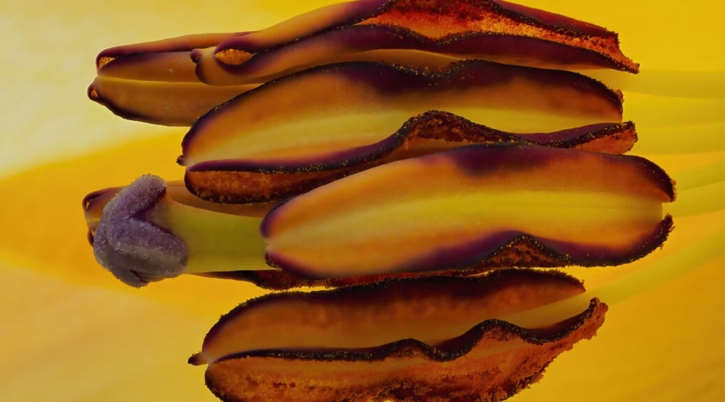 Small Sensor Photography by Thomas Stirr - This website celebrates the ...