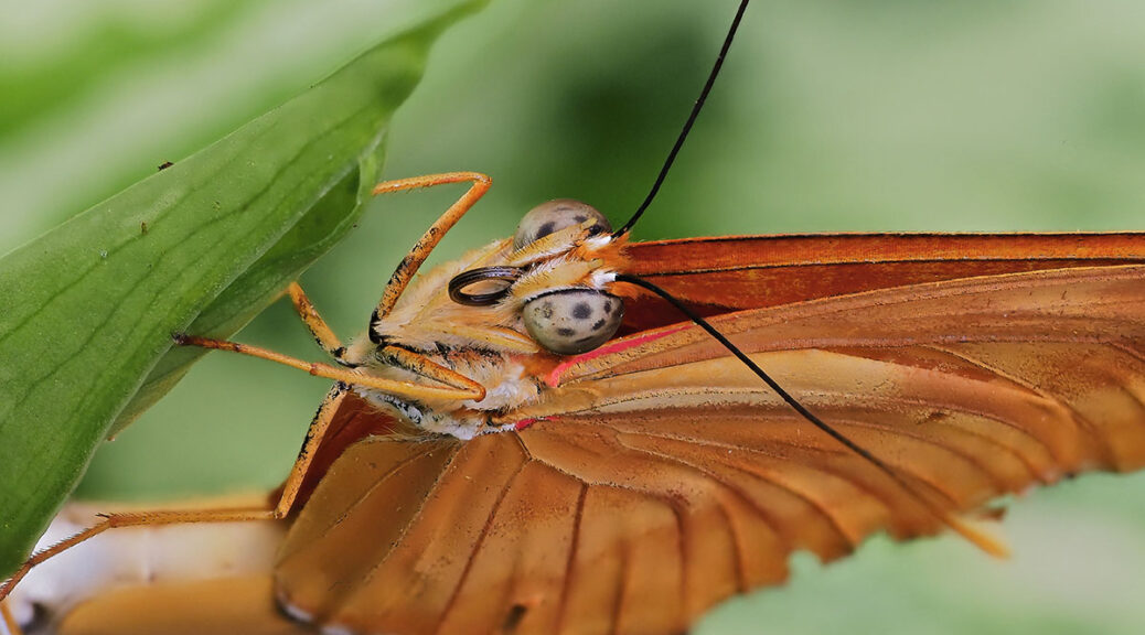 Small Sensor Photography by Thomas Stirr - This website celebrates the ...